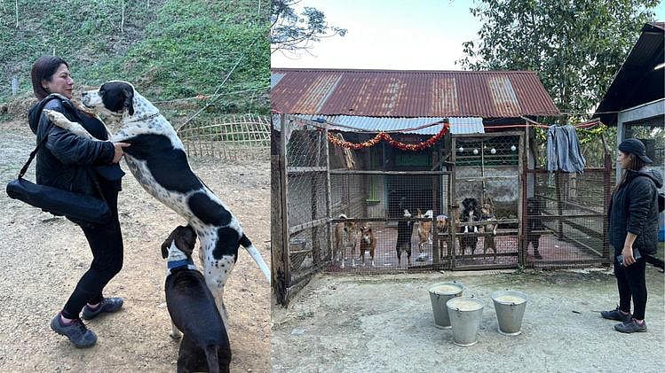 Animal rescue shelter for public opened in Mizoram