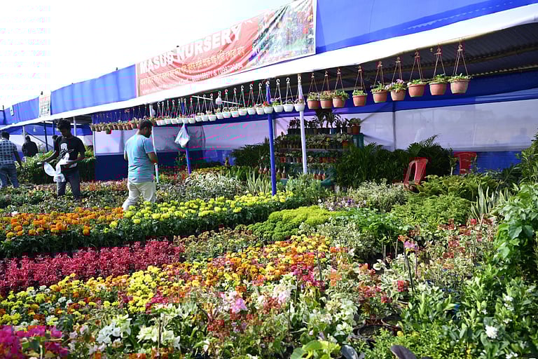 Assam: Tree & Flower Festival begin at Daigong river bank in Golaghat
