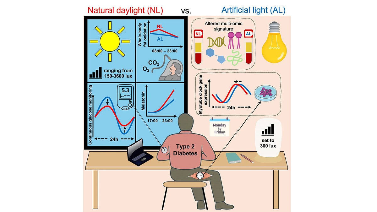 Natural daylight can help diabetics: Study