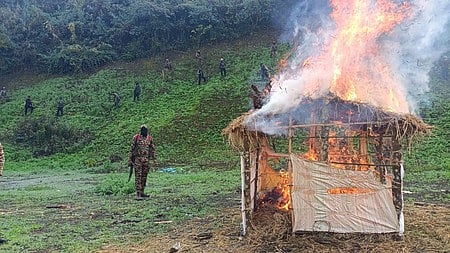 306 acres of illegal poppy cultivation destroyed in Manipur
