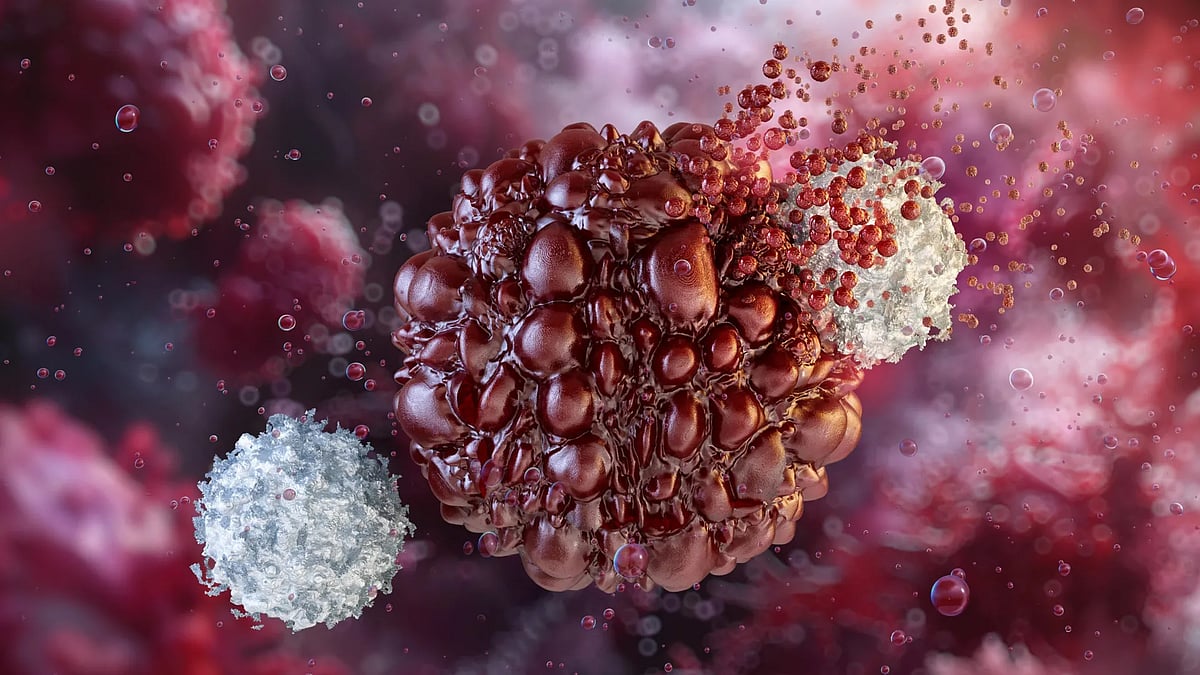 Scientists solve major roadblock in cancer cell therapy