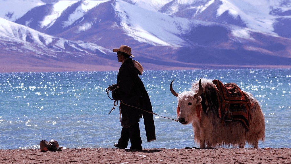 China’s sedentarisation of Tibetan nomads becomes story