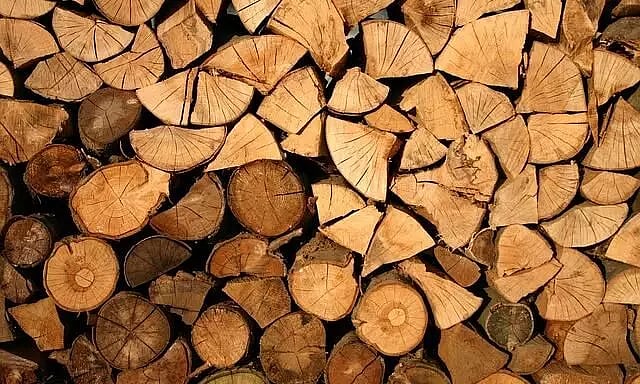 Illegal timber-laden vehicle seized at Naharjan tea estate