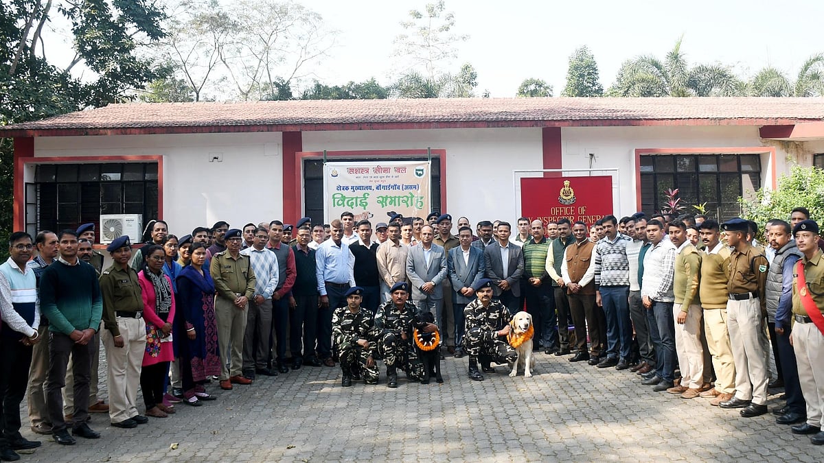 Explosives detection dogs Joko and Jevin retire from from SSB Service