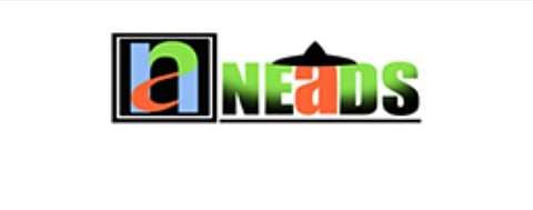 NEADS Advocates for Localized SDGs at Asia-Pacific Forum