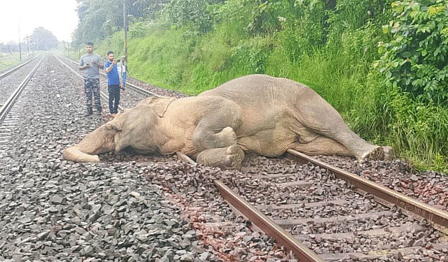 Railways Sanctions 403 Route Km More AI Elephant Detection System for ...