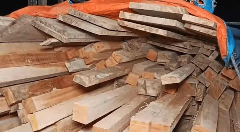 Illegal timber corridors thrive along Assam–Meghalaya border as locals ...