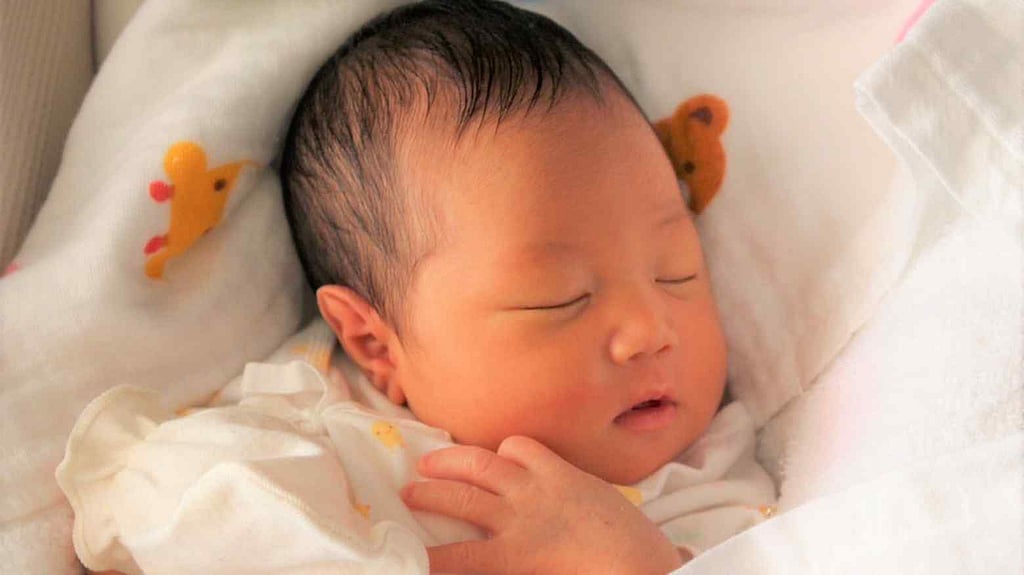 Japan’s Birth Rate Falls to Record Low as Fertility Rate Declines for ...