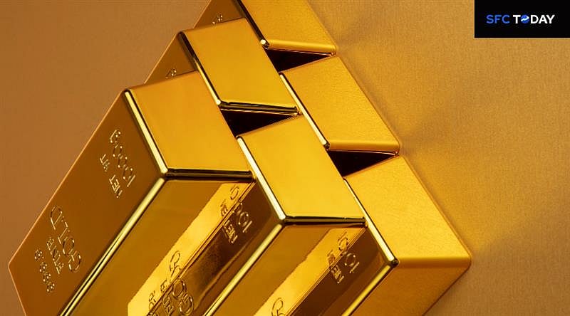 Zero Debt, High Profit: The New Gold Standard for Stock Selection