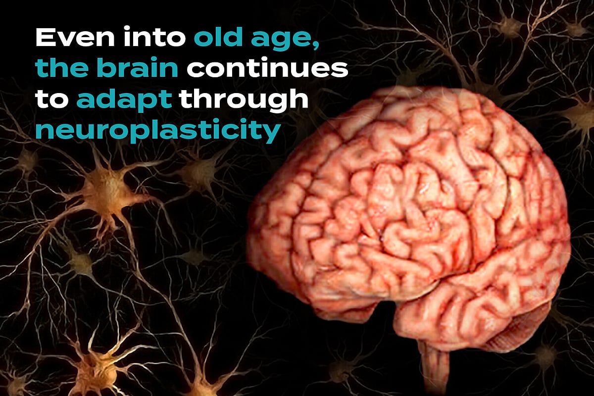 7 Reasons Why Your Brain is the Most Amazing Thing in Existence