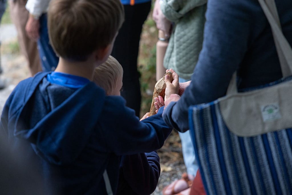 Beavers Build Bridges: How These Seattle Critters Are Connecting ...