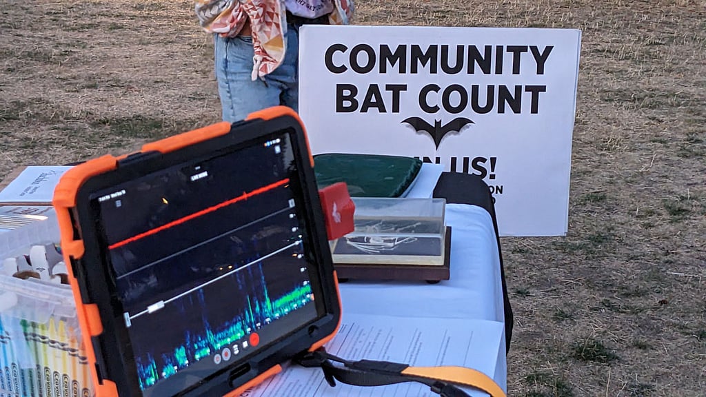 Death in the Dark: The PNW's Race to Stop the Bat Plague