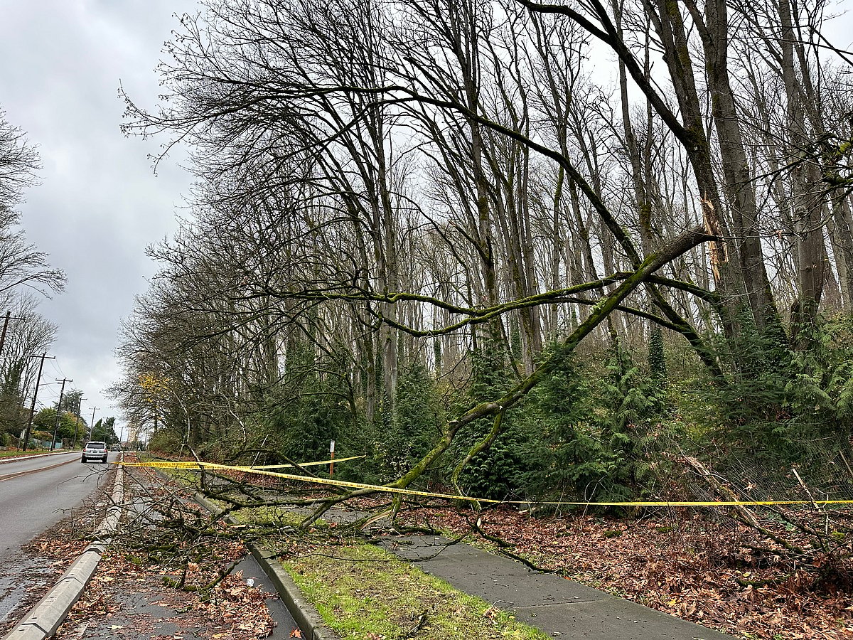 NEWS GLEAMS | Bomb Cyclone Leaves Hundreds of Thousands Without Power ...