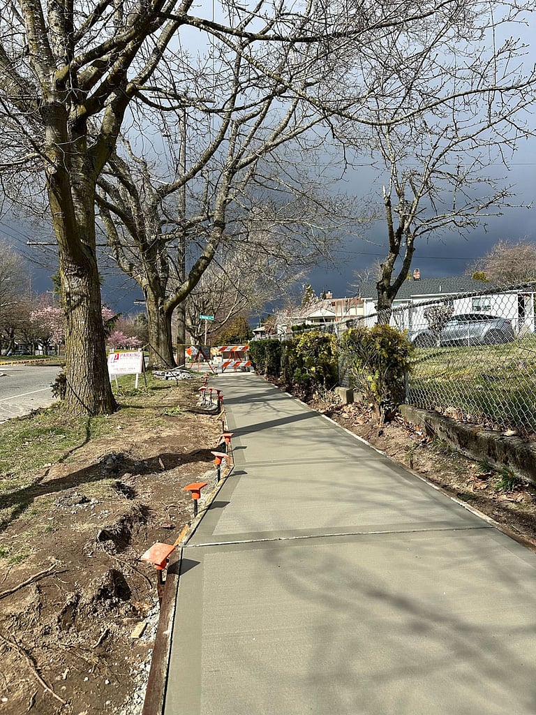 Beacon Avenue Trees Update: Over 30 Trees Are Being Evaluated for ...
