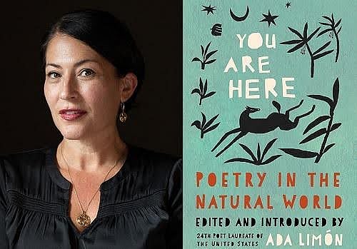How to Read a Poem: Four Tips from Seattle-Area Poets and Writers