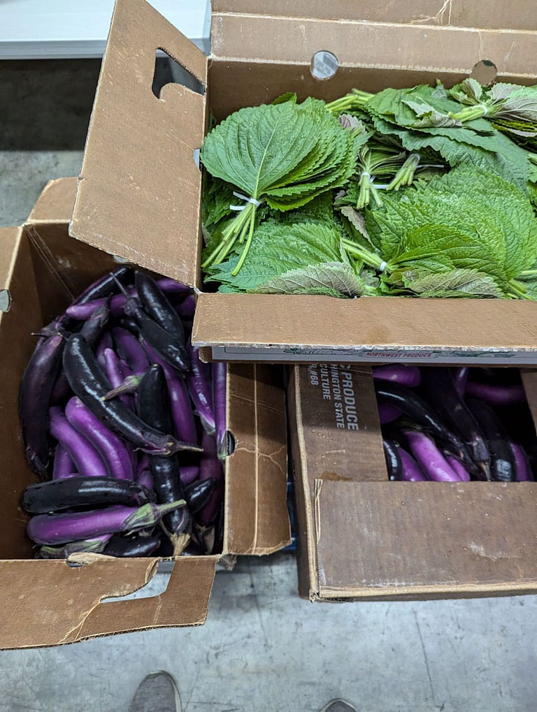 South End Life: A Community Farm Plants the Seeds for Food Security and ...