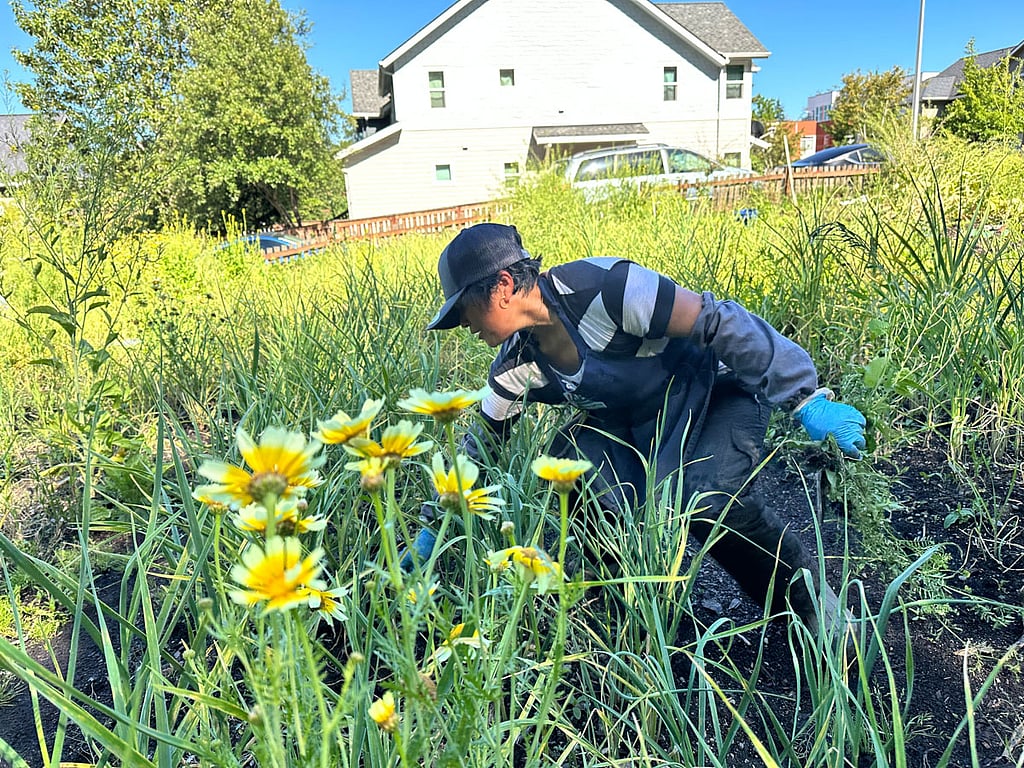 South End Life: A Community Farm Plants the Seeds for Food Security and ...