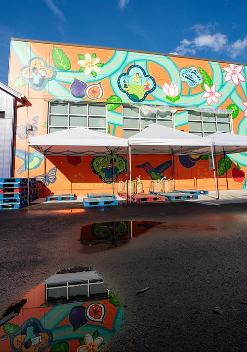 'Beacon of Community': New Mural at Rainier Valley Food Bank Captures ...