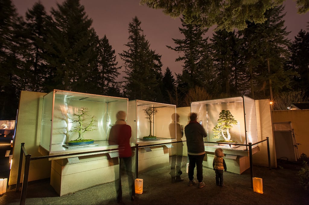 At a Winter Solstice Market, Tiny Bonsai Draped in Lights Hold Off the ...