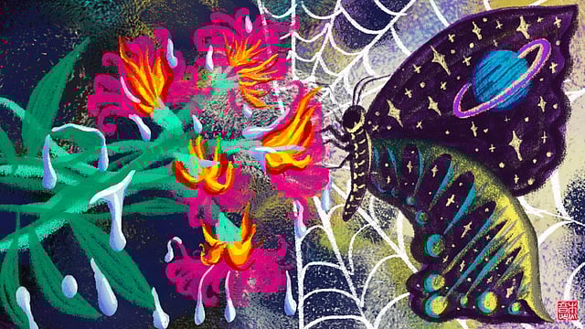 PONGO POETRY | Butterflies