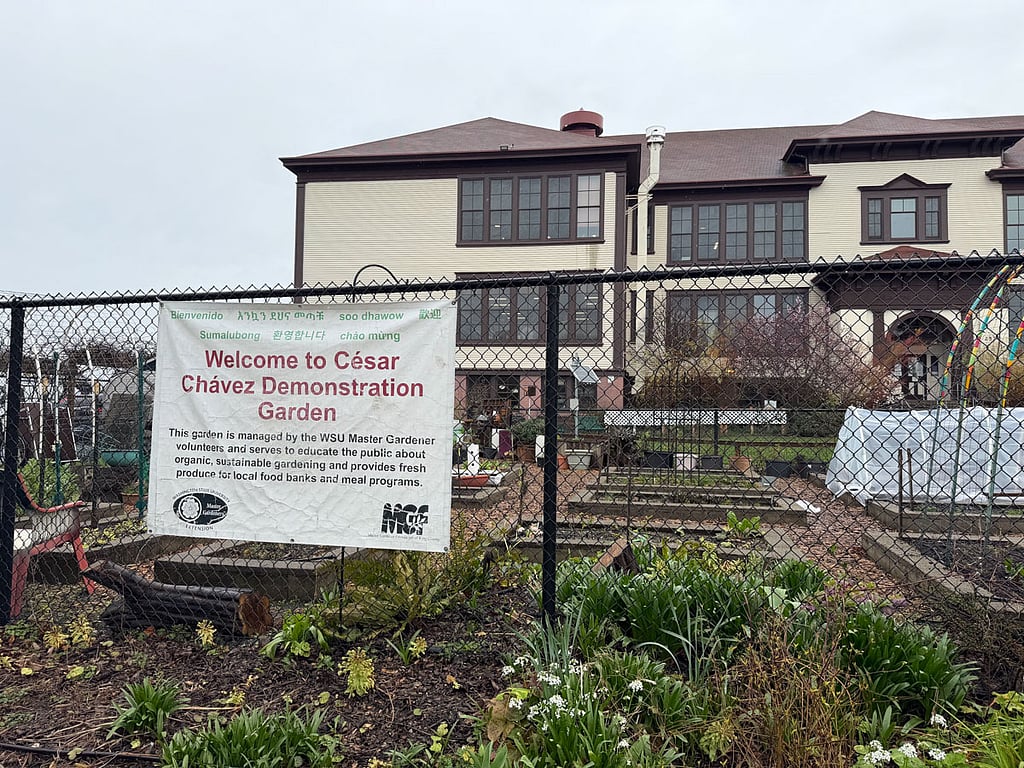 Cesar Chavez Sexual Abuse Allegations Shake South Seattle Leaders