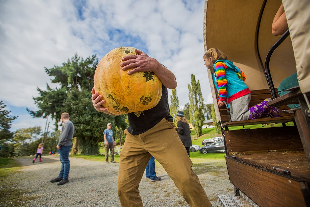 In Photos: Seattle Farm celebrates 100 years