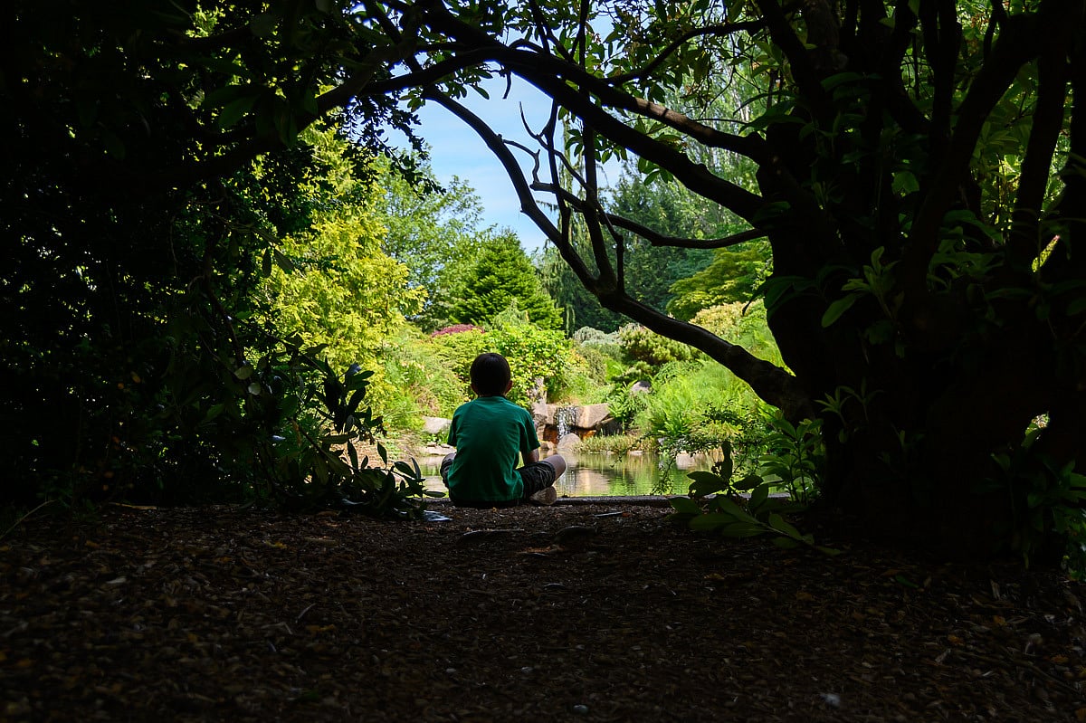 Family Exploration Kits Encourage Science Learning and Outdoor ...