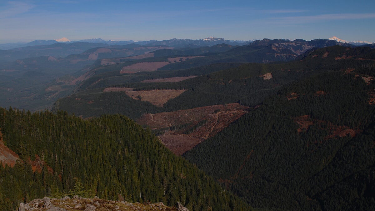 Eight Candidates Remain in Final Week of King Conservation District ...