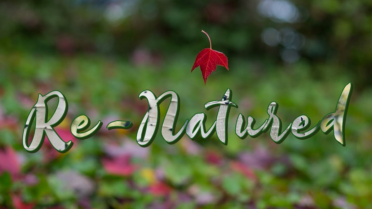 Re-Natured