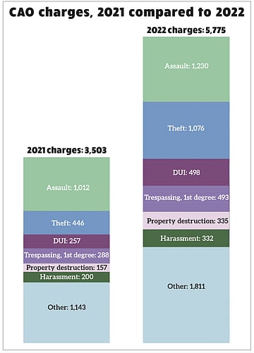 Is It the Era of Ann? : A Retrospective of Ann Davison's First Year in ...