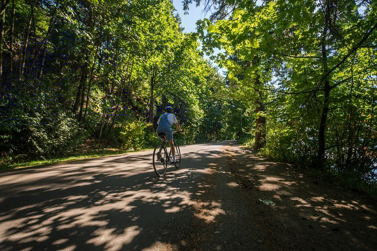 Seattle City Council Vote on Amended Tree Protection Ordinance May ...