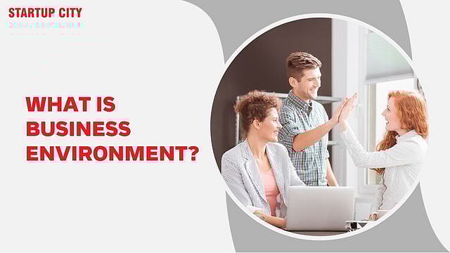 What is a Business Environment?