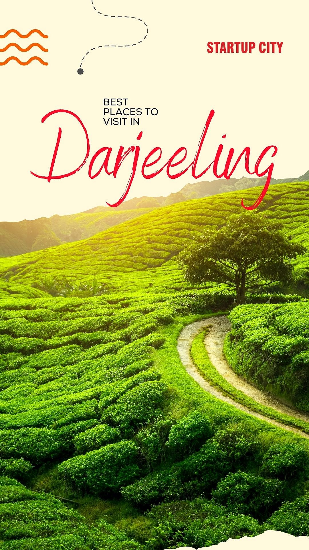 Best Places to Visit in Darjeeling