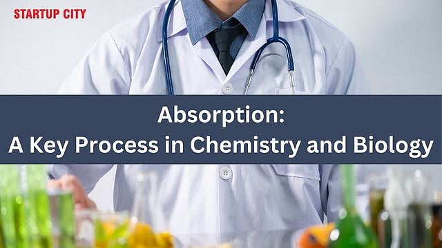 Absorption: Process in Chemistry and Biology