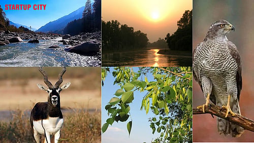 Punjab: Land of Five Rivers & Cultural Richness