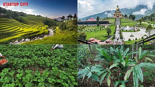 Sikkim: Himalayan Gem of Culture