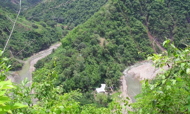 Deforestation in Cebu City ‘continues’