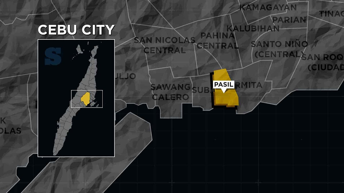 Fecal coliforms in Pasil waters ‘critically high’