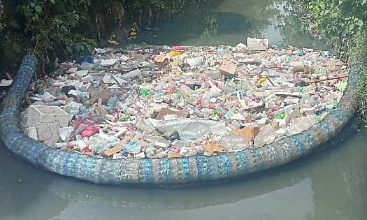 Bio-fences: Viable solution to address water pollution