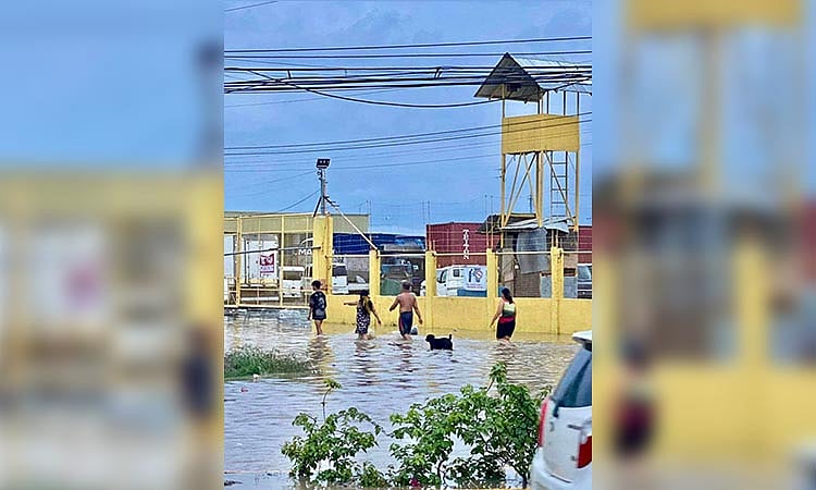 Butuanon River overflow sparks gabion dam push