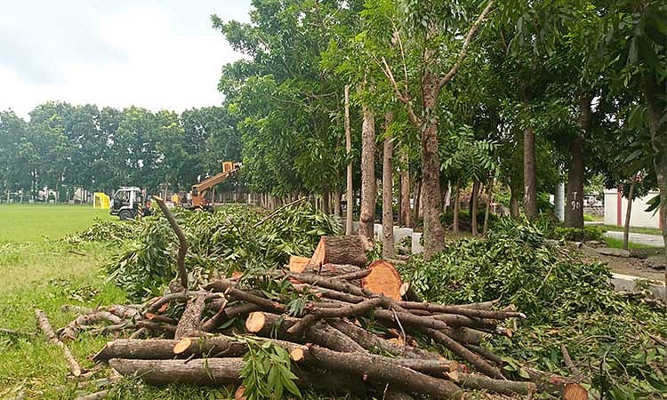 DENR urged: Stop tree cutting at posh subd