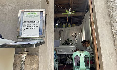 Mandaue City to inspect all trees