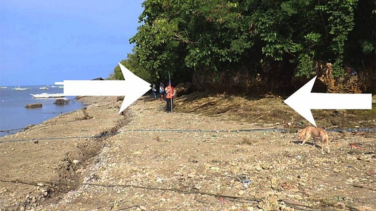 M6.9 Cebu quake caused one-meter coastal uplift in Bogo