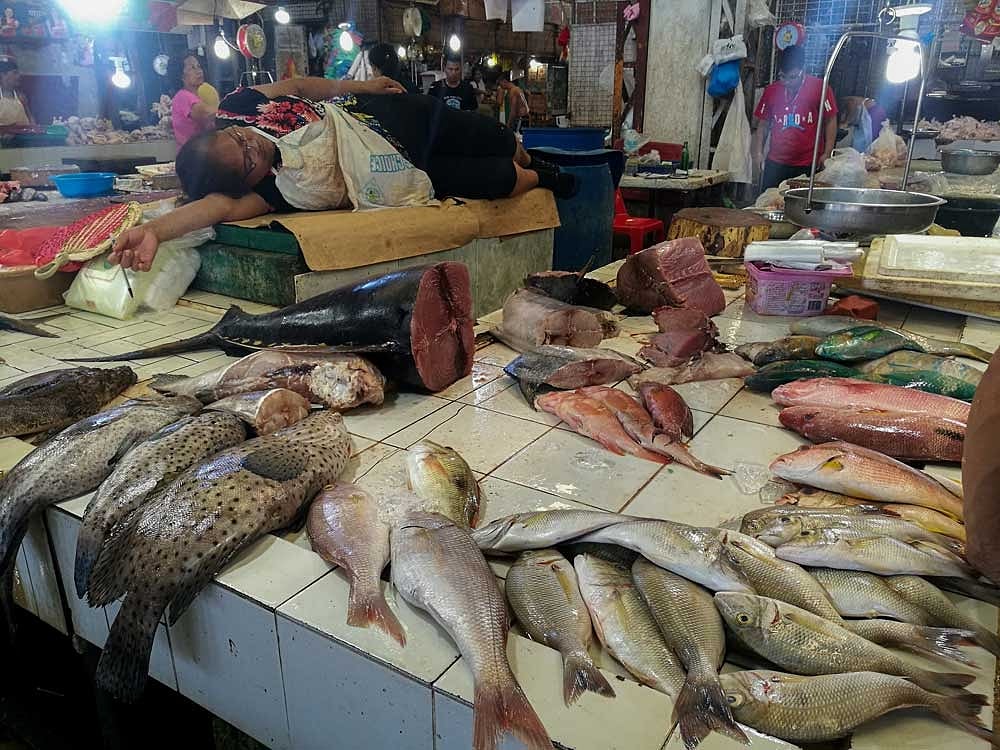 BFAR 7: Fish Prices Stable in Cebu Despite Sept. 30 Quake