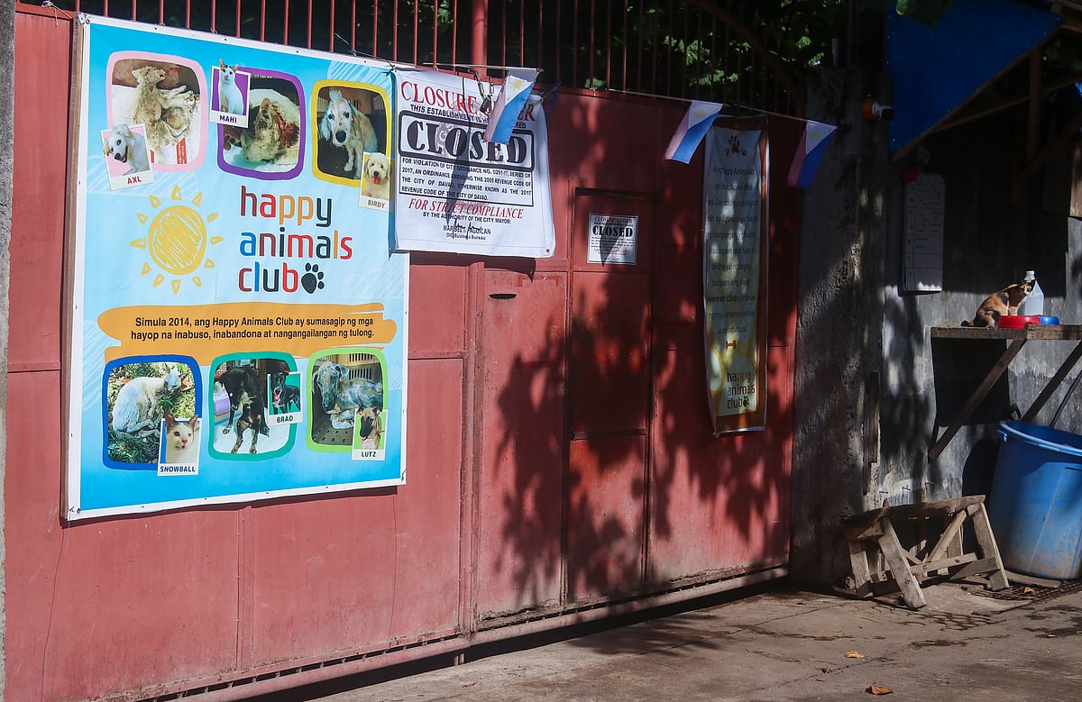 Animal shelter re-inspected: City Health Office makes re-inspection at ...