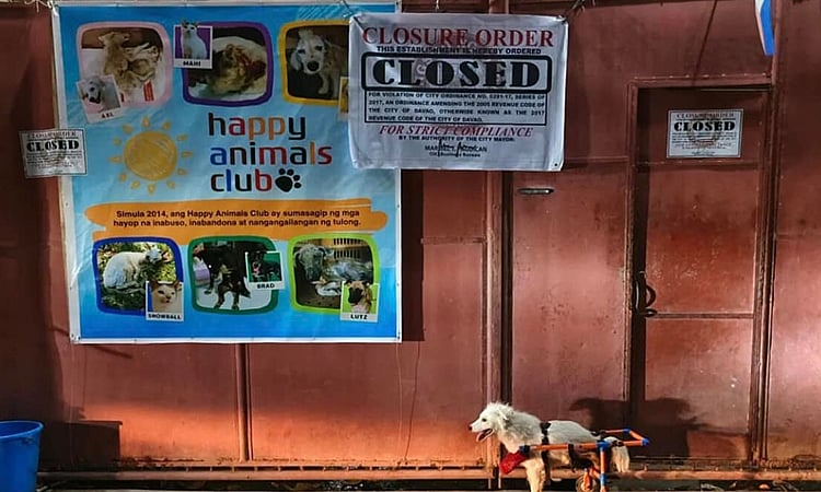 Happy Animals Club not yet accredited