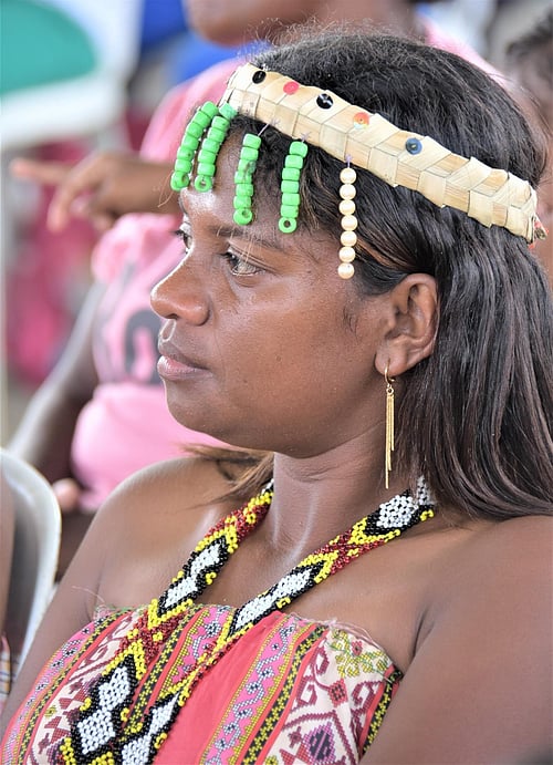 Cadiz Ata indigenous community receives Certificate of Recognition of ...