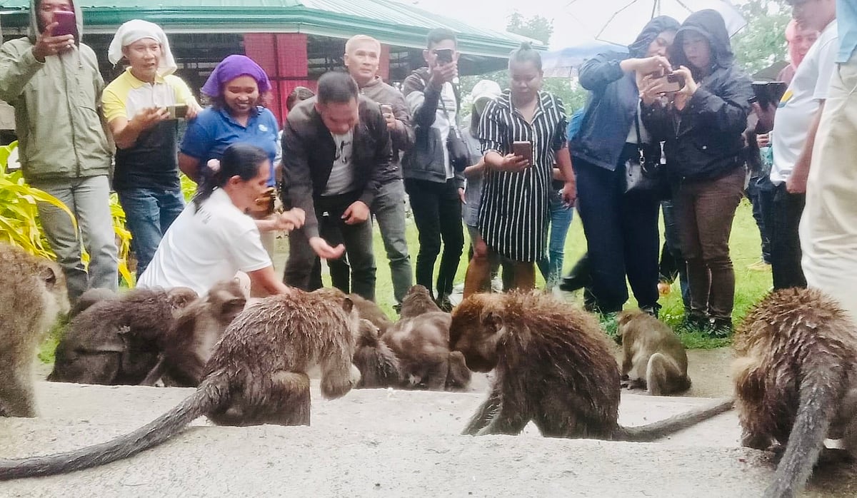 Top 12 LGUs named finalists in Provincial Search for Solid Waste ...