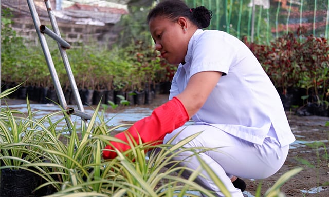Going Greener: Azuela Cove Leads the Way in Environmental Consciousness ...