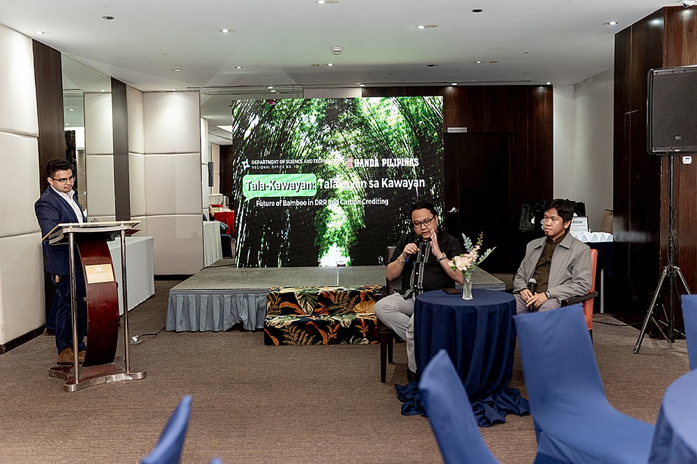 Growing bamboo a strategy to climate change adaptation, sustainability
